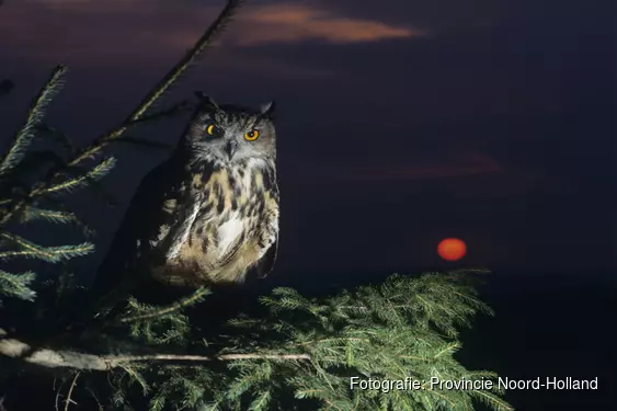 Eerste Editie Nacht Van De Noord Hollandse Natuur